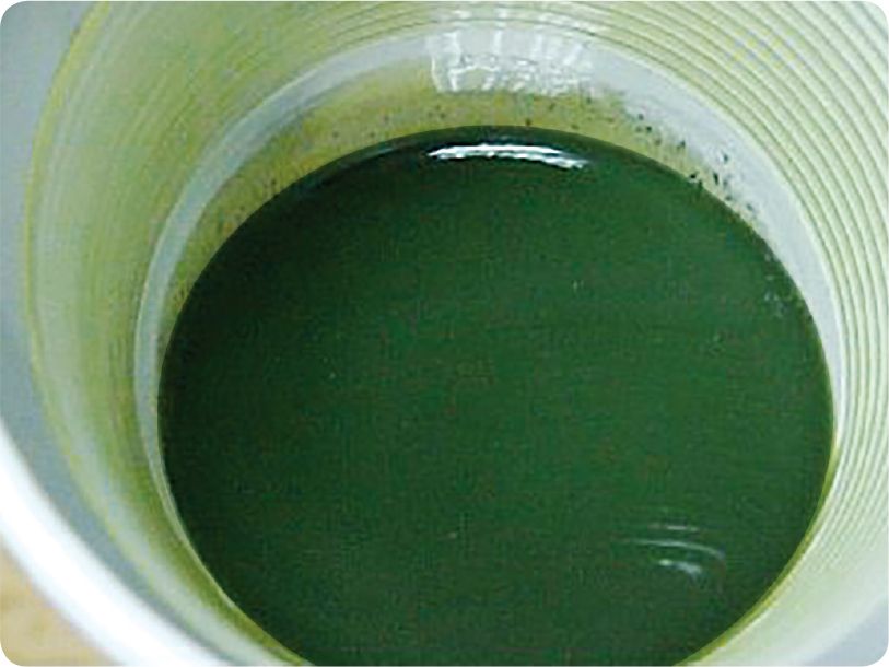 CoolDrive Auto Parts | A/C Compressor Oil Balancing: Why It's Important